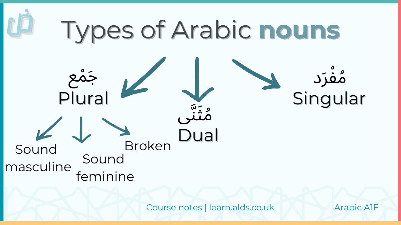 Sound Masculine and Feminine Plurals | ADLS Arabic