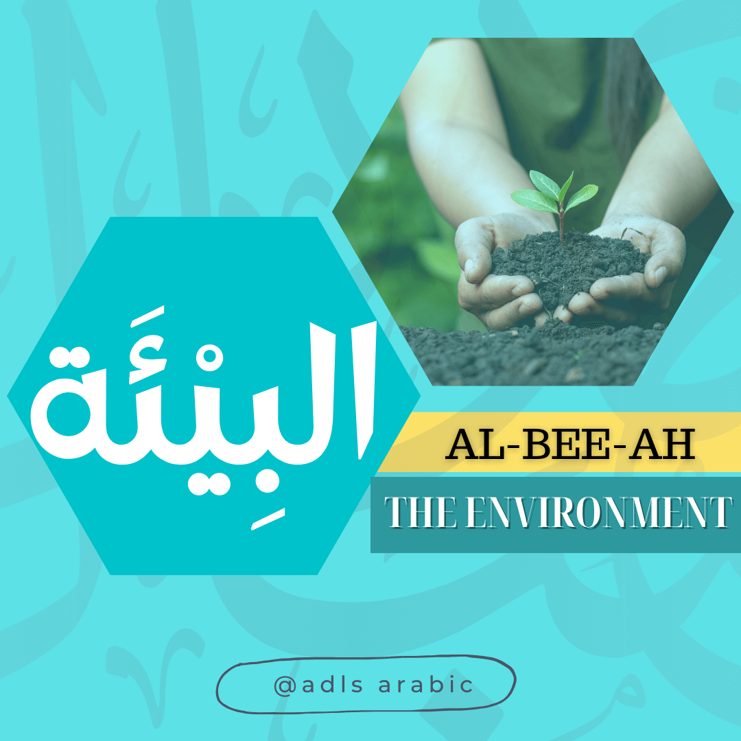 GCSE Arabic the Environment | ADLS Arabic GCSE and Quran